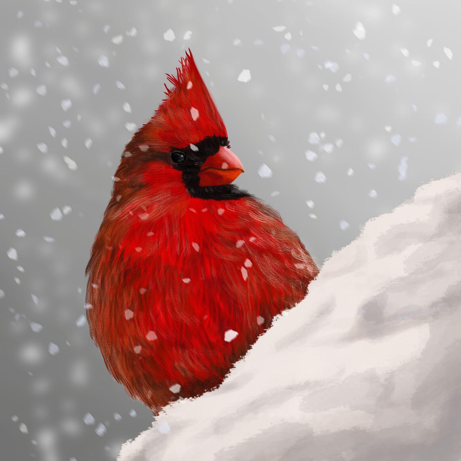 Cardinal Bird In Snow Painting