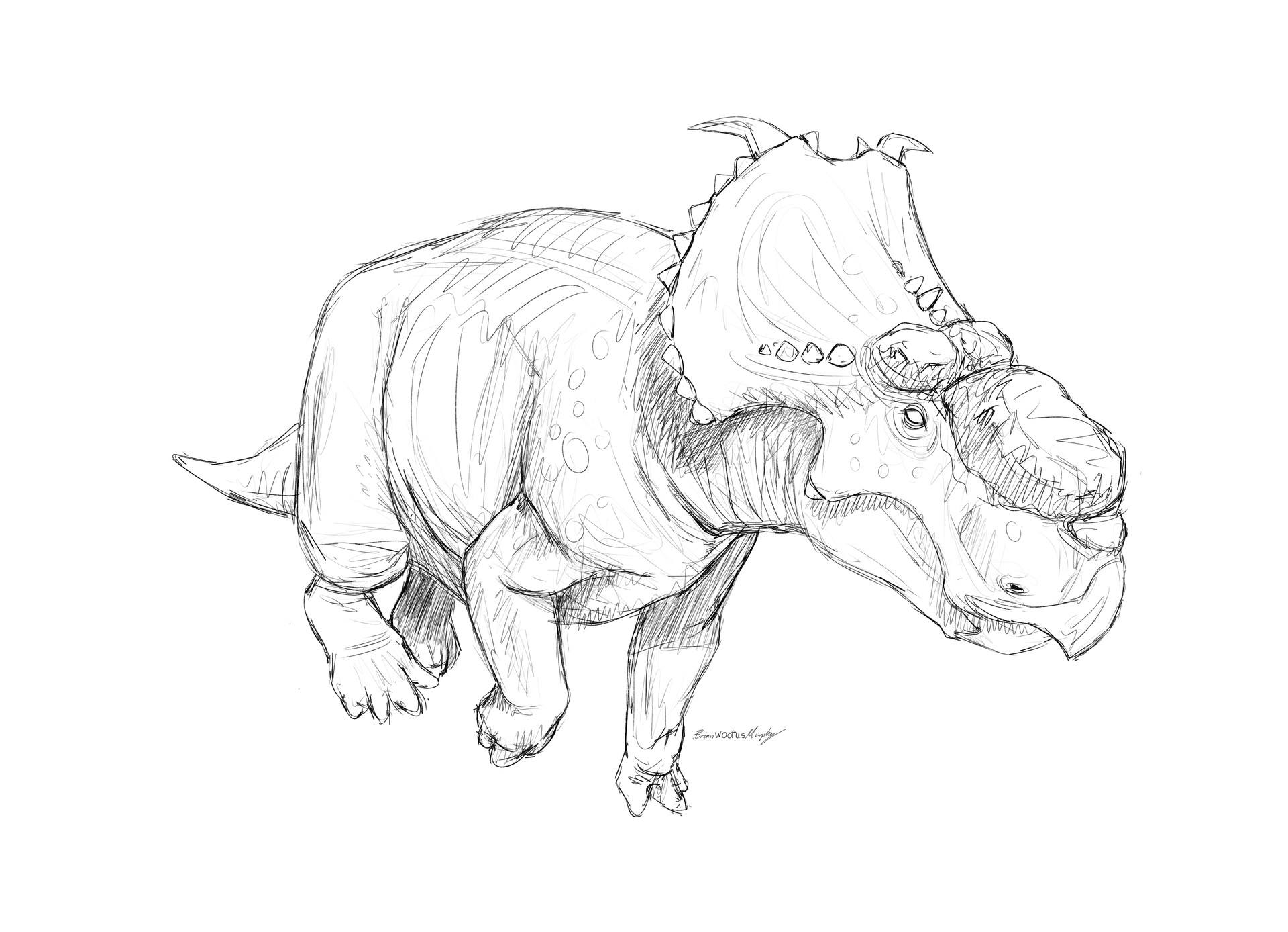 pachyrhinosaurus coloring pages