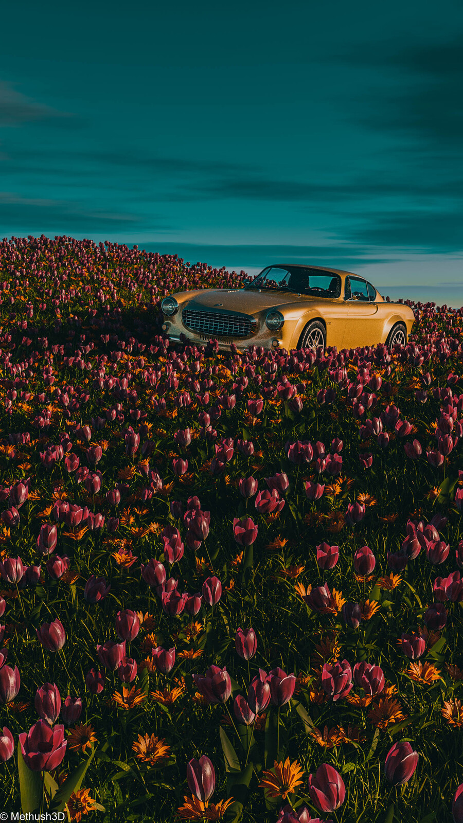 Methush Anjula Thamel - Beauty Flower Garden 🌸