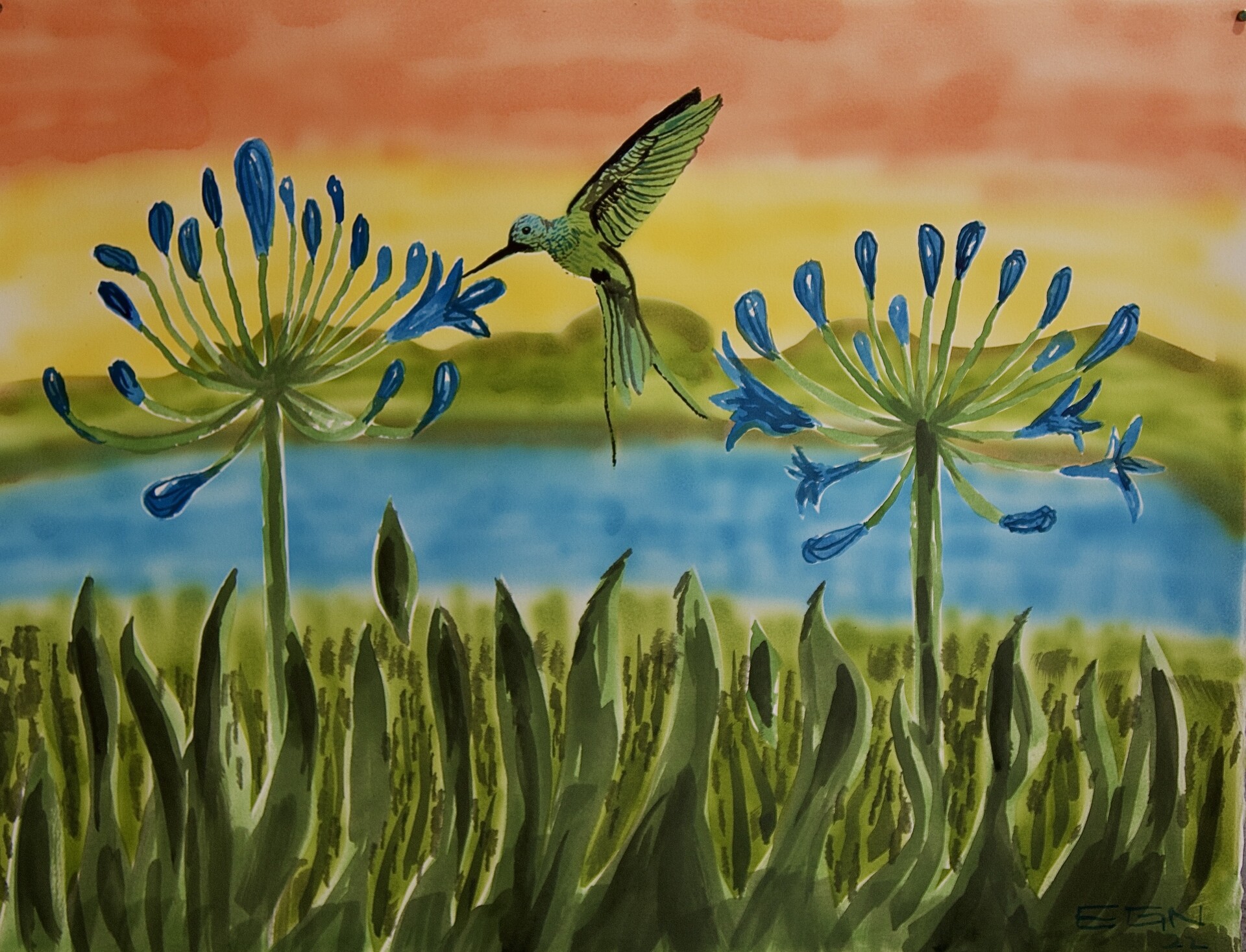 ArtStation - hummingbird