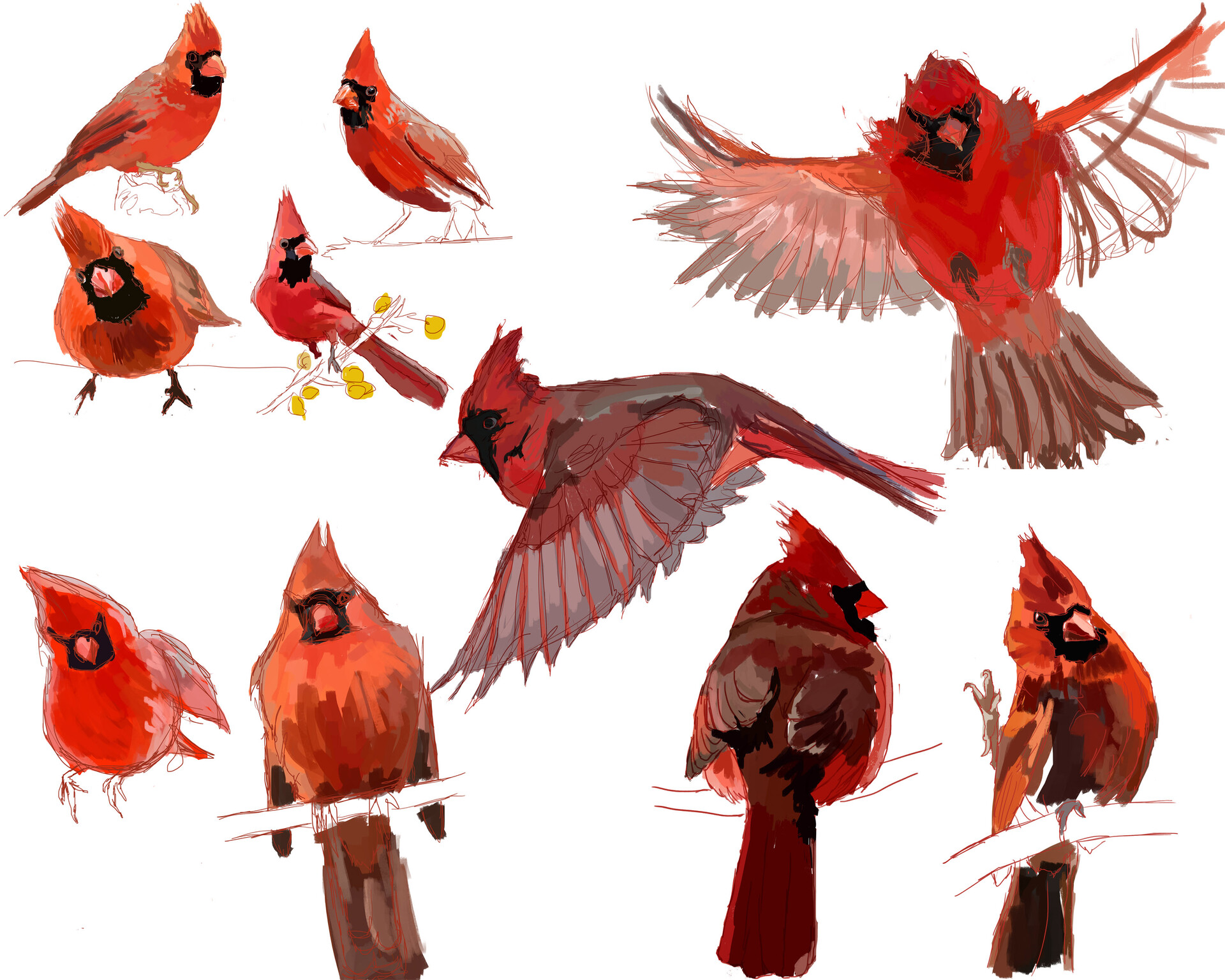 ArtStation - Cardinal Studies