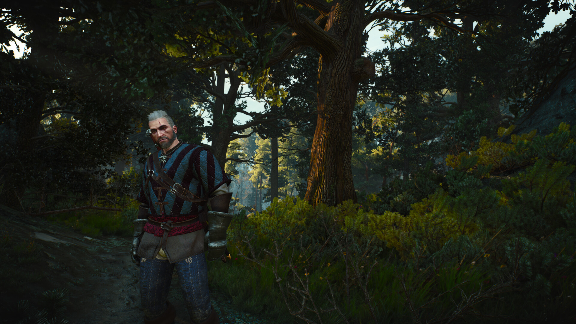 ArtStation - THE WITCHER 3 - NEXT GEN UPDATE