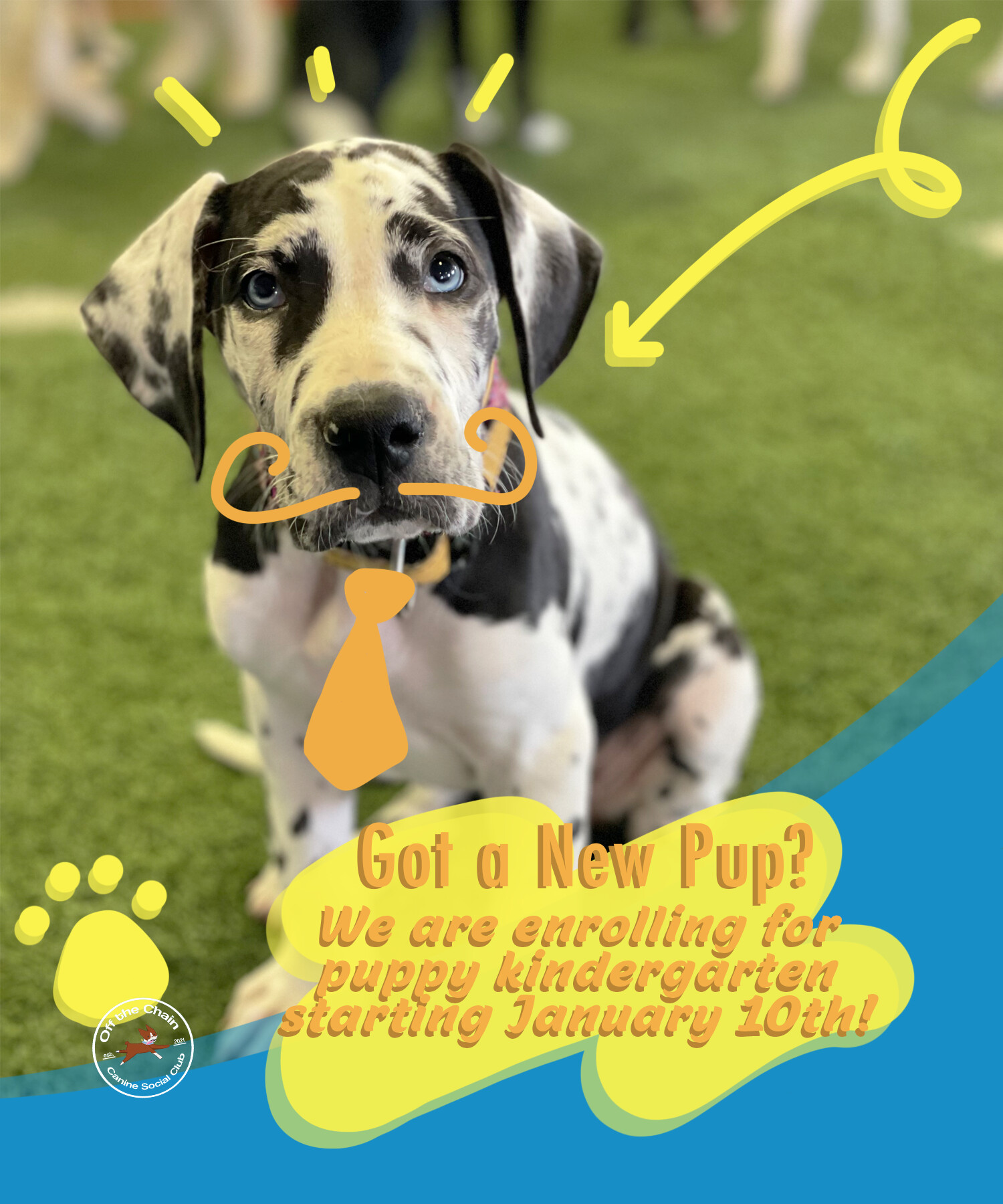 ArtStation - Puppy Training Ad