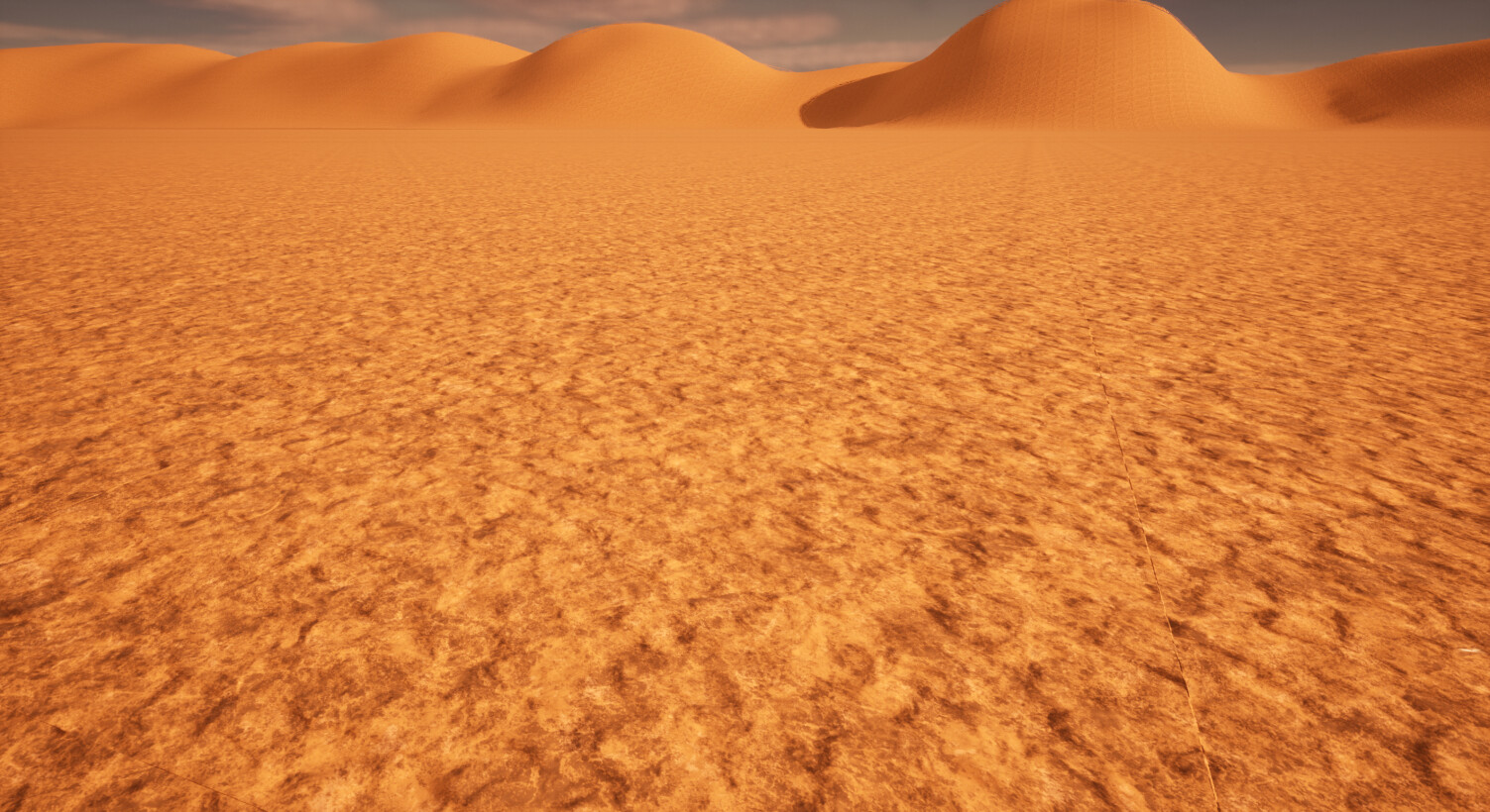 Sahara Desert Diorama