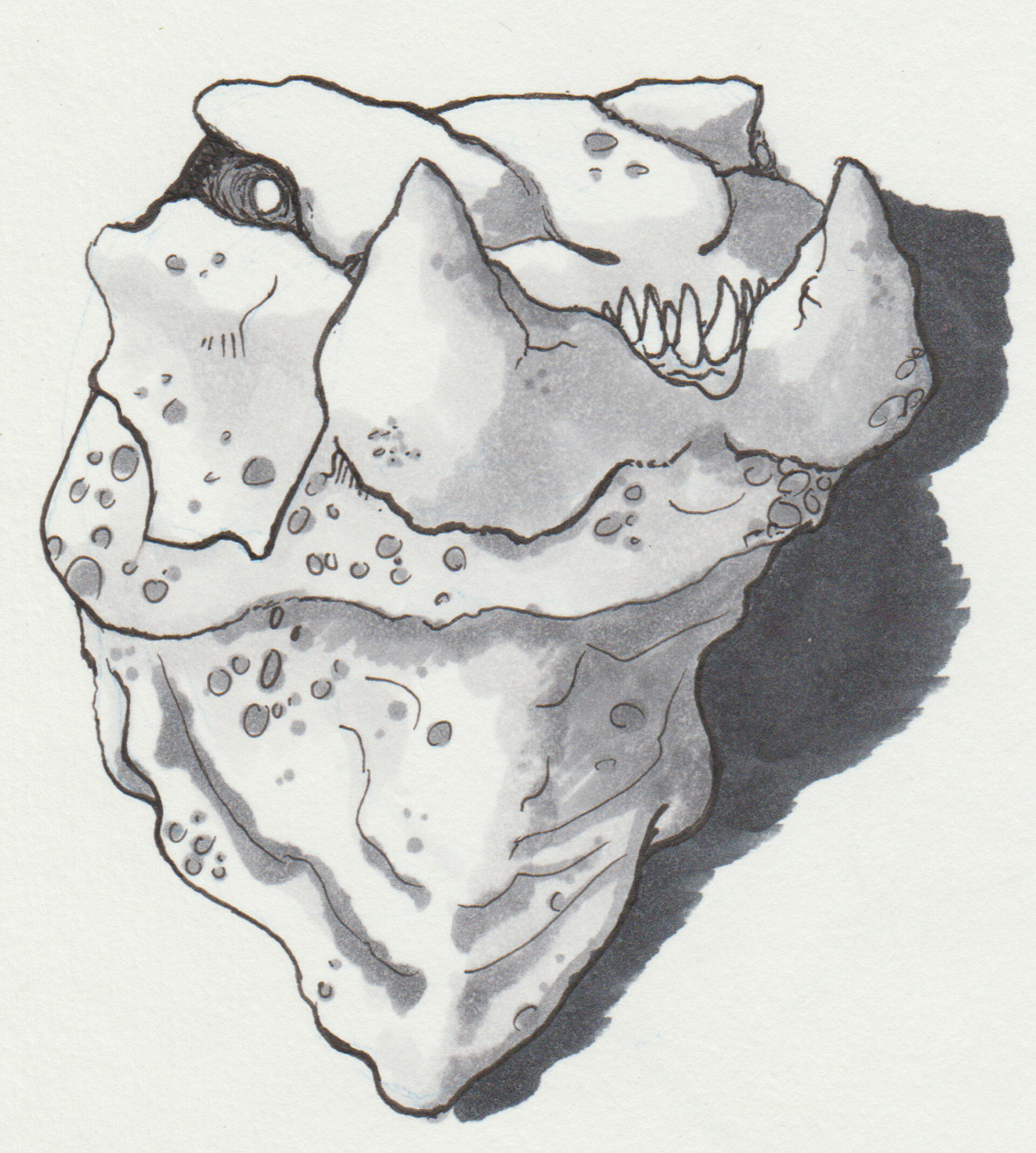 ArtStation - Creature Sketch