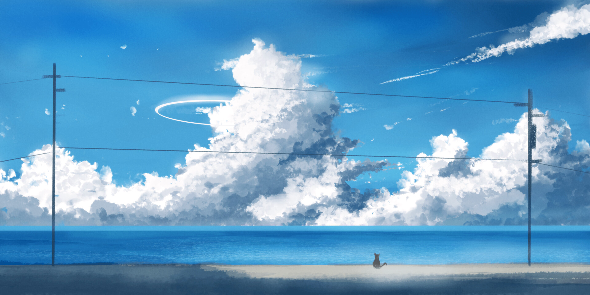 ArtStation - cat daytime