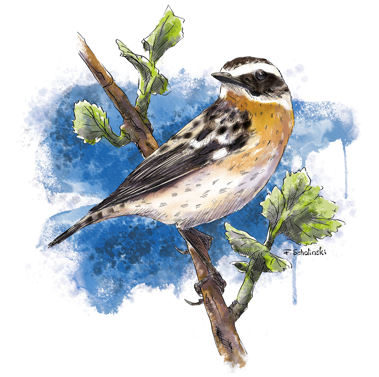 ArtStation - Whinchat