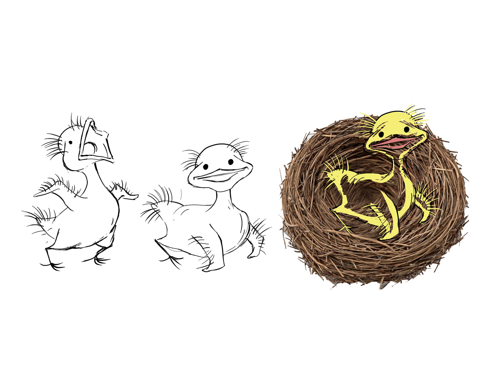 Zahra Zare - Kooch project