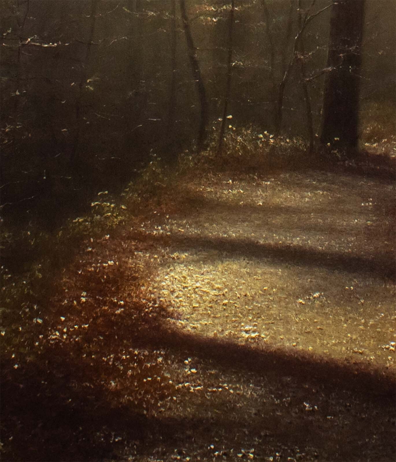 Michael Handt - Misty Forest in Autumn - 6 years later