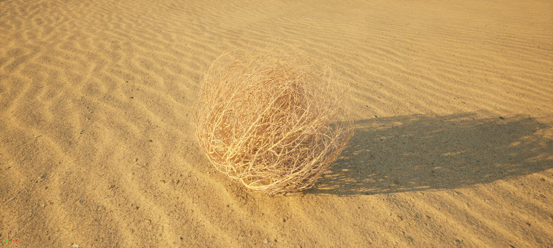 Tumbleweed Vet at Benjamin Bomar blog