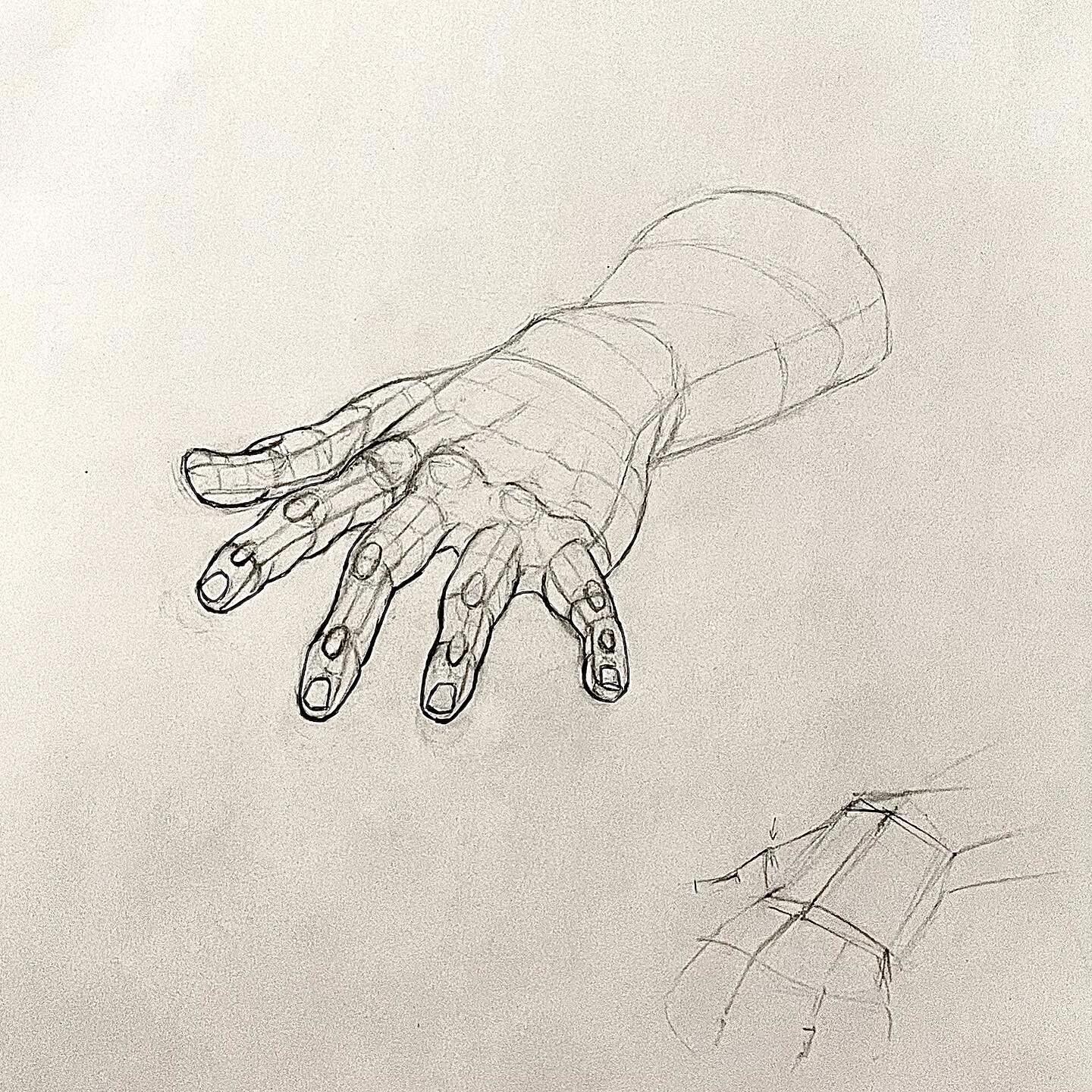 maggie maahs - Study of a Hand