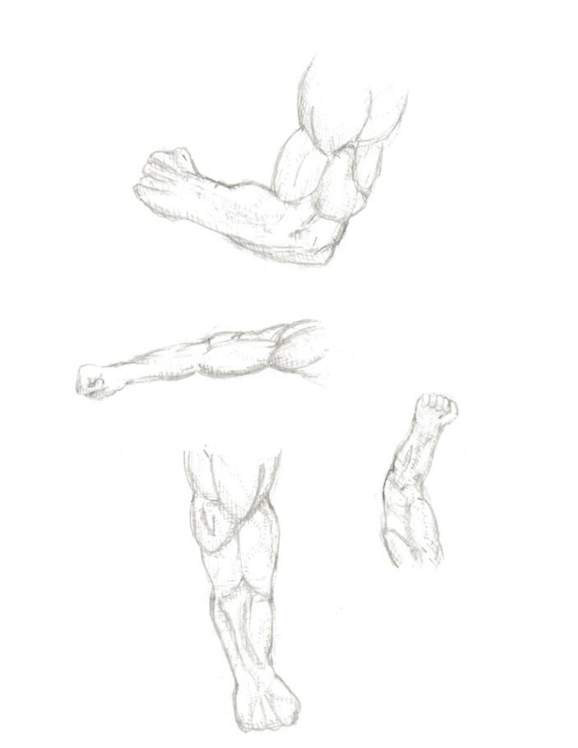 ArtStation - Arm Sketches