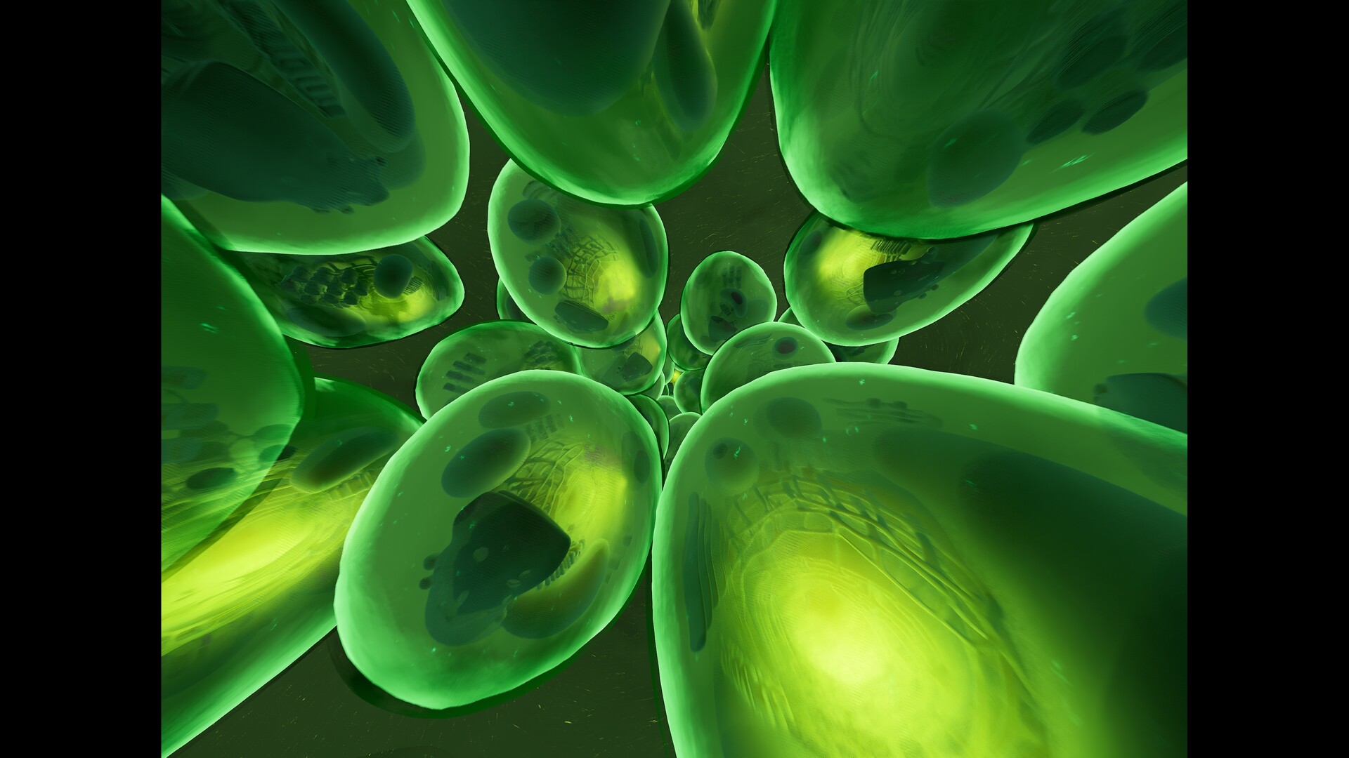 Andrei Ivanescu - OAZE - VR 360 animation inside a plant cell