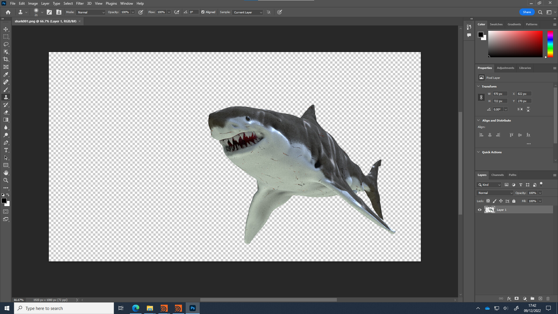 Callum Highfield - Shark Render - Intro to Organic Modelling