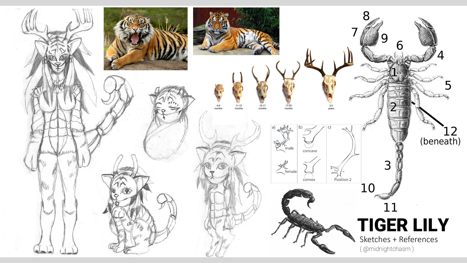 MidnightChasm - Tiger Lily