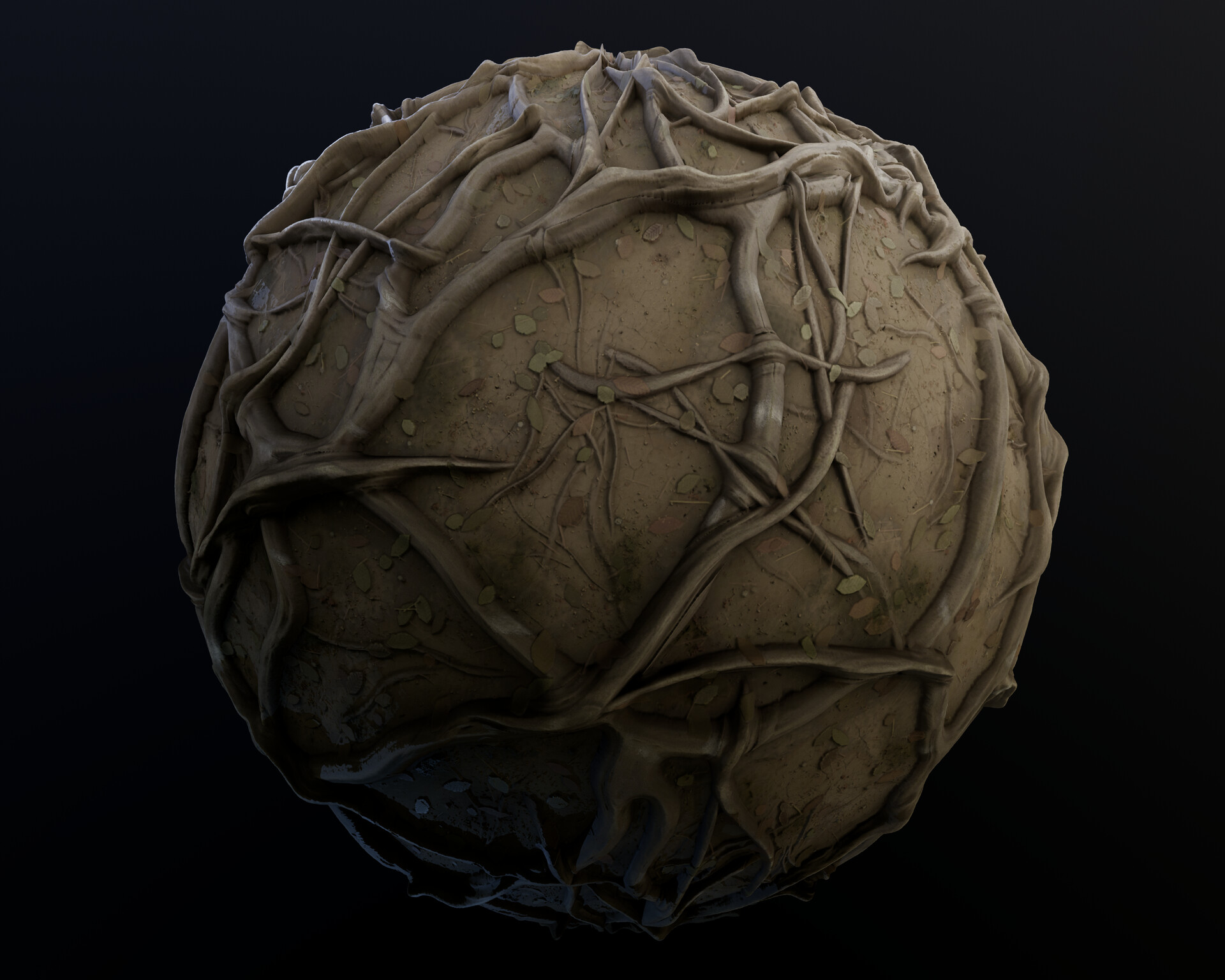 ArtStation - Roots study