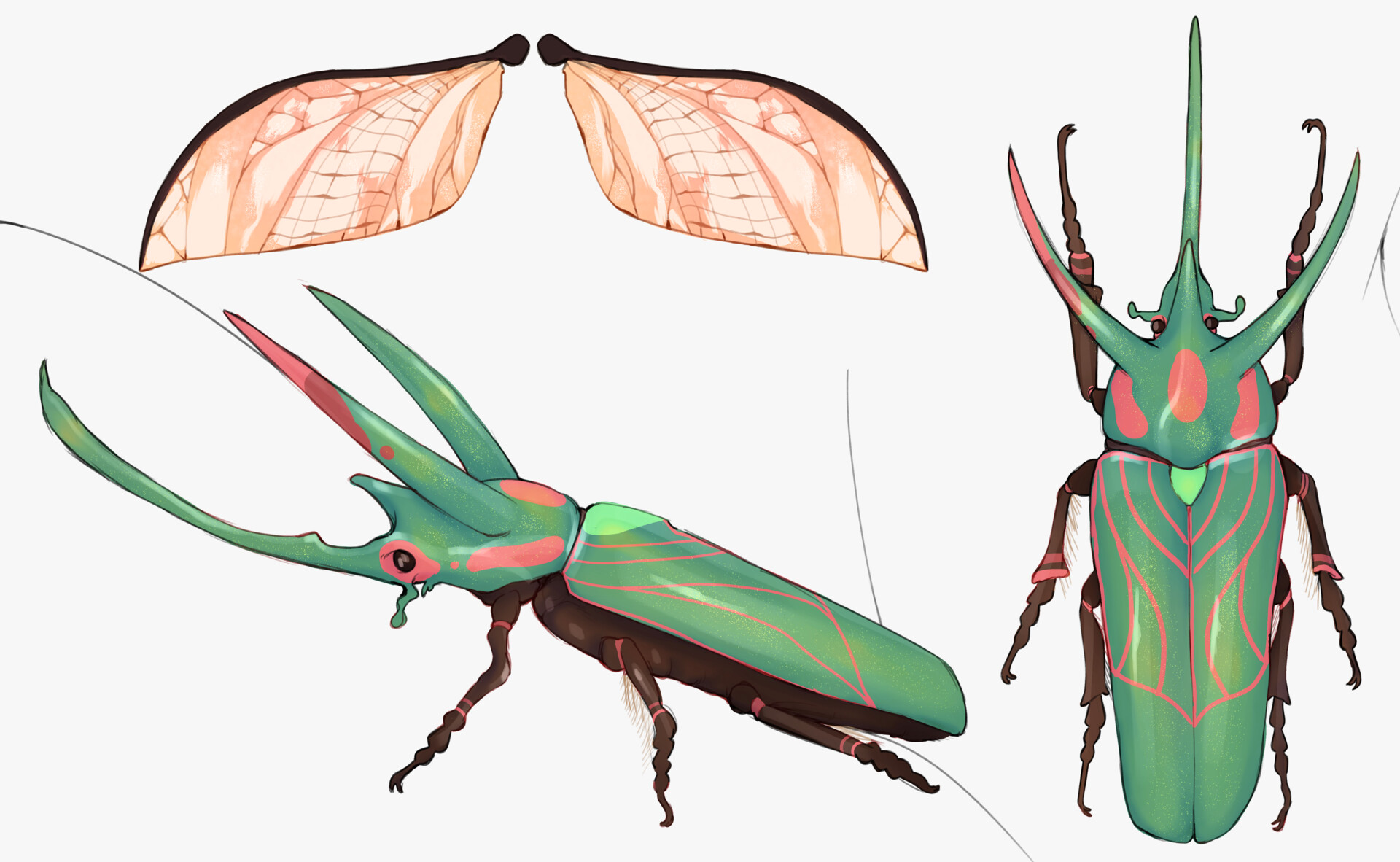 ArtStation - Insect Concept