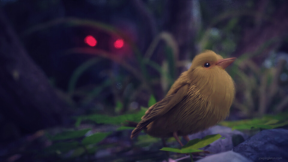 Joe Pingleton - The Dark Forest Floor