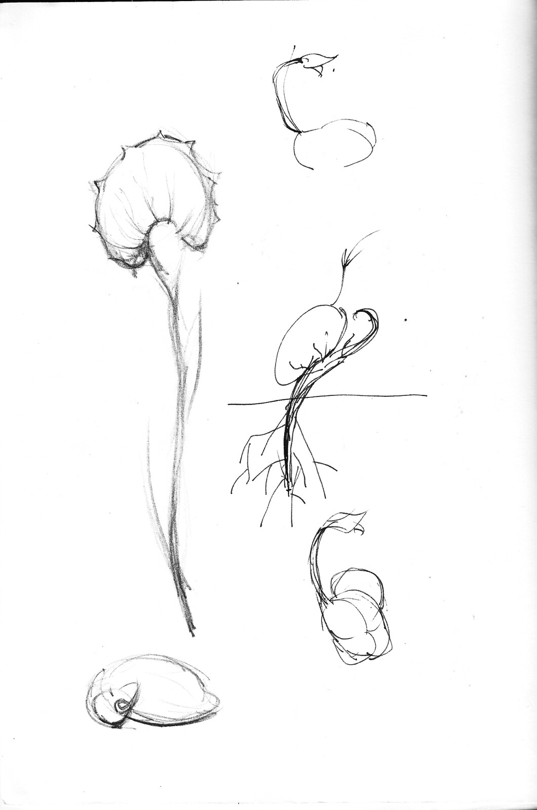 su gao - Hybridcircles7953-5