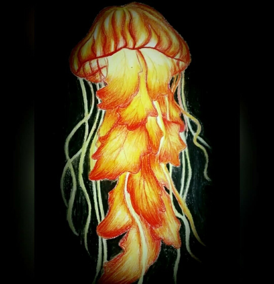 ArtStation - jellyfish color art