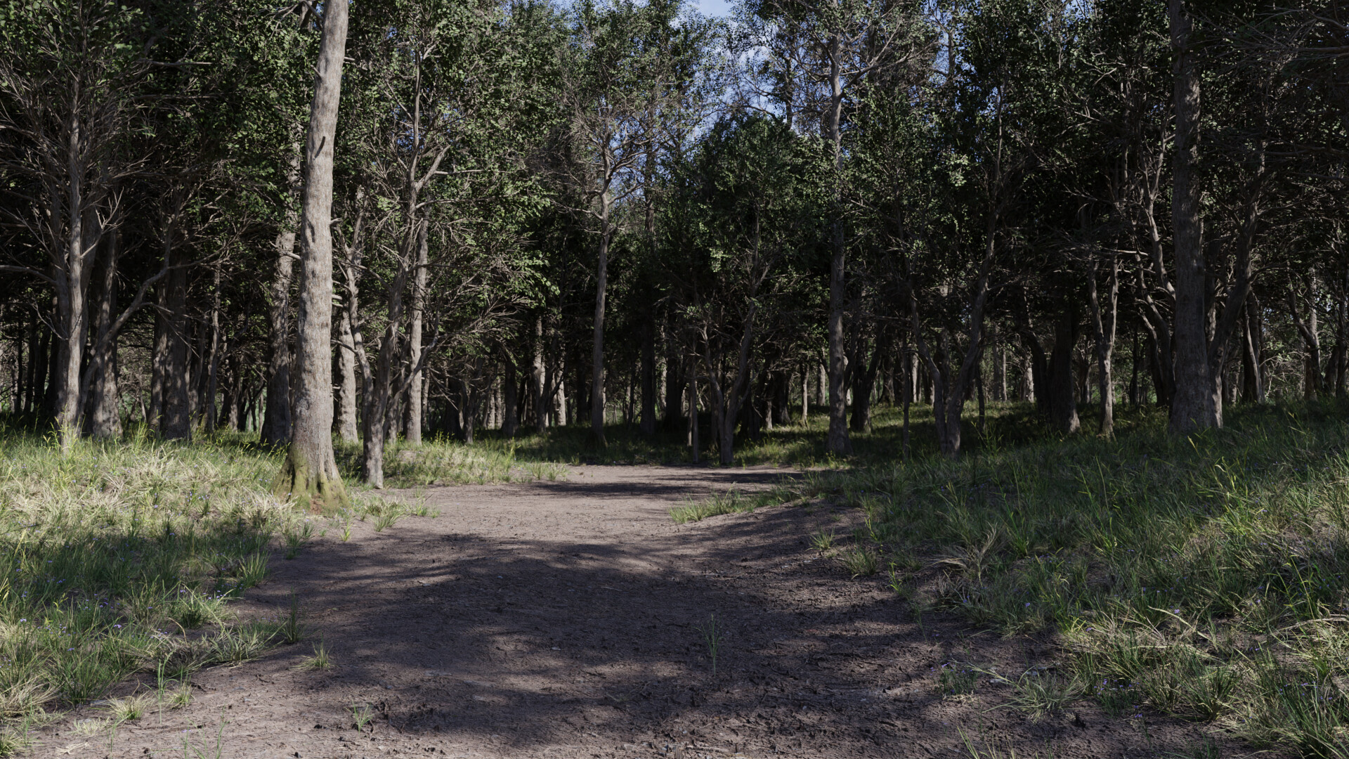 ArtStation - Quixel Trees Forest