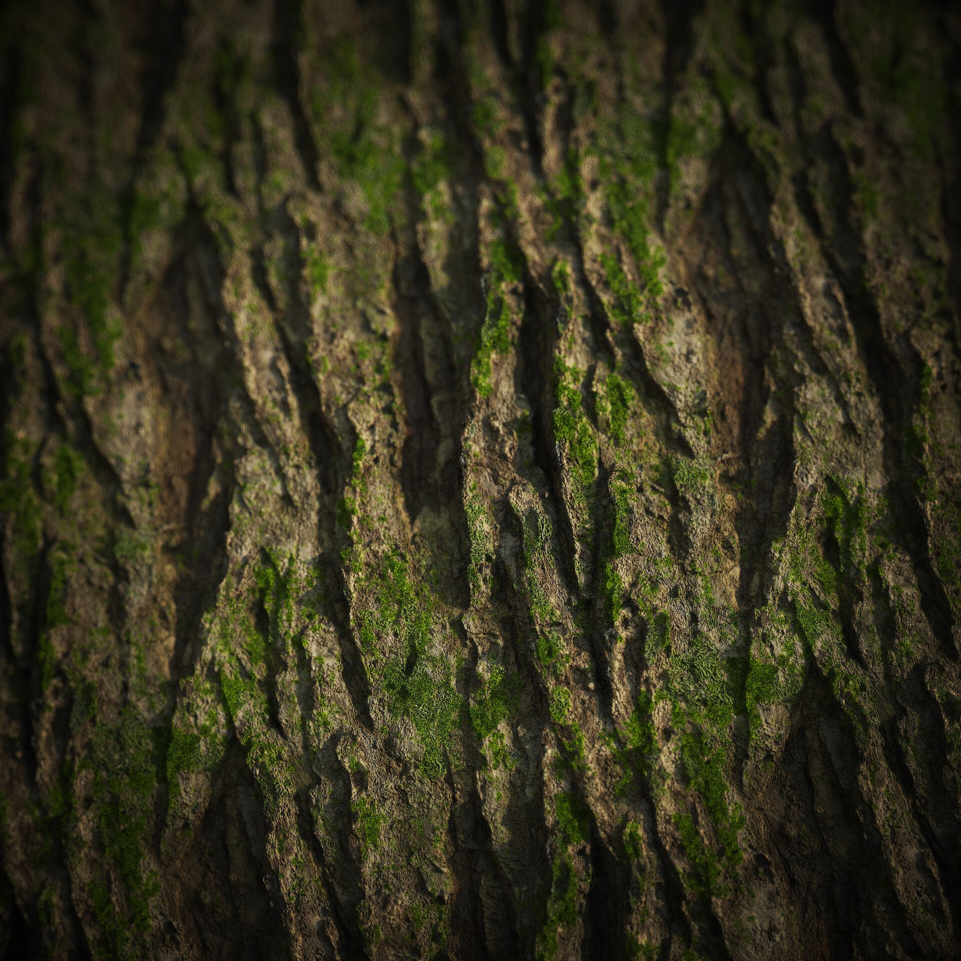 Wes McDermott - Procedural Bark Material