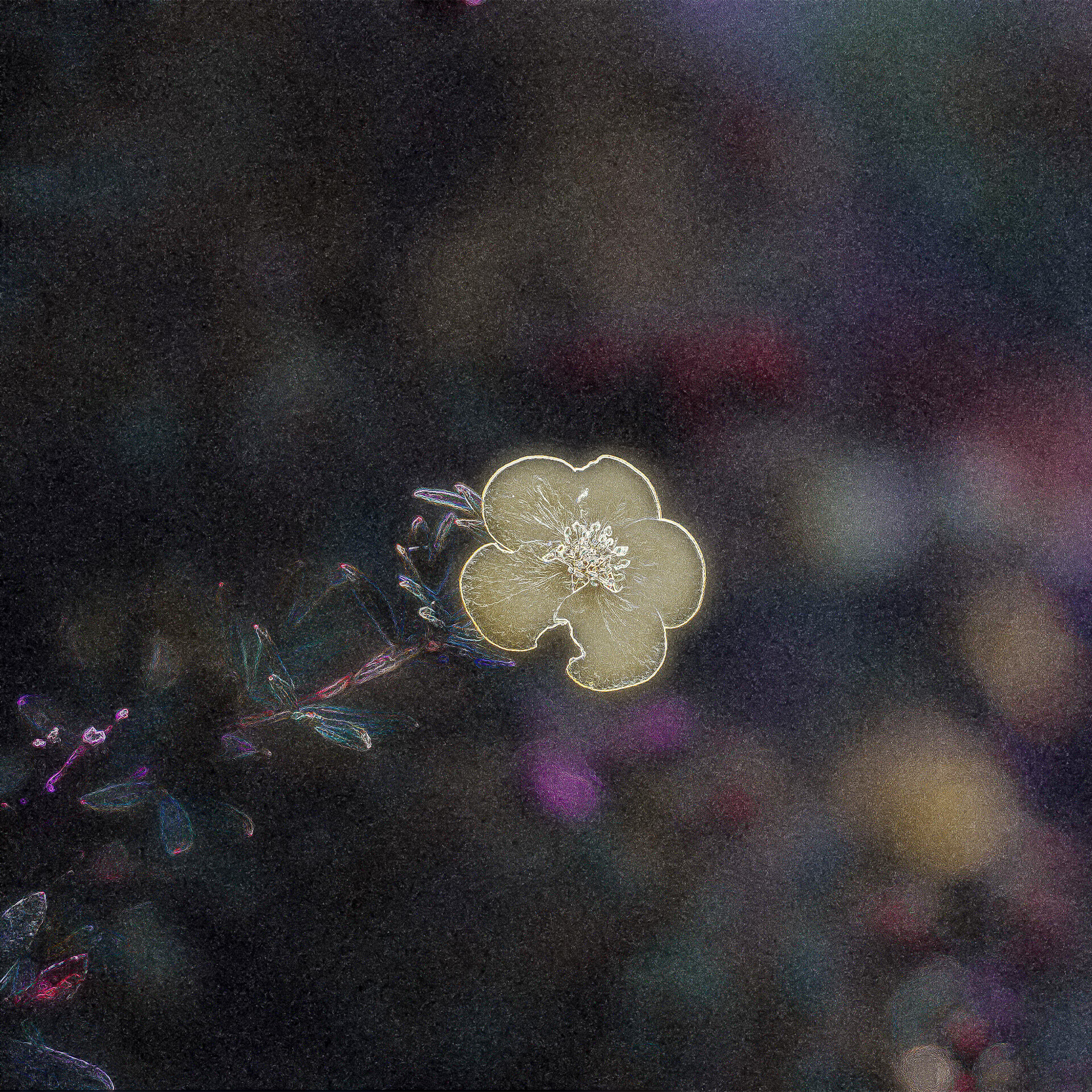 ArtStation - No.1 "Flower 1"