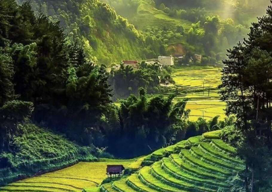 ArtStation - Beautiful countryside