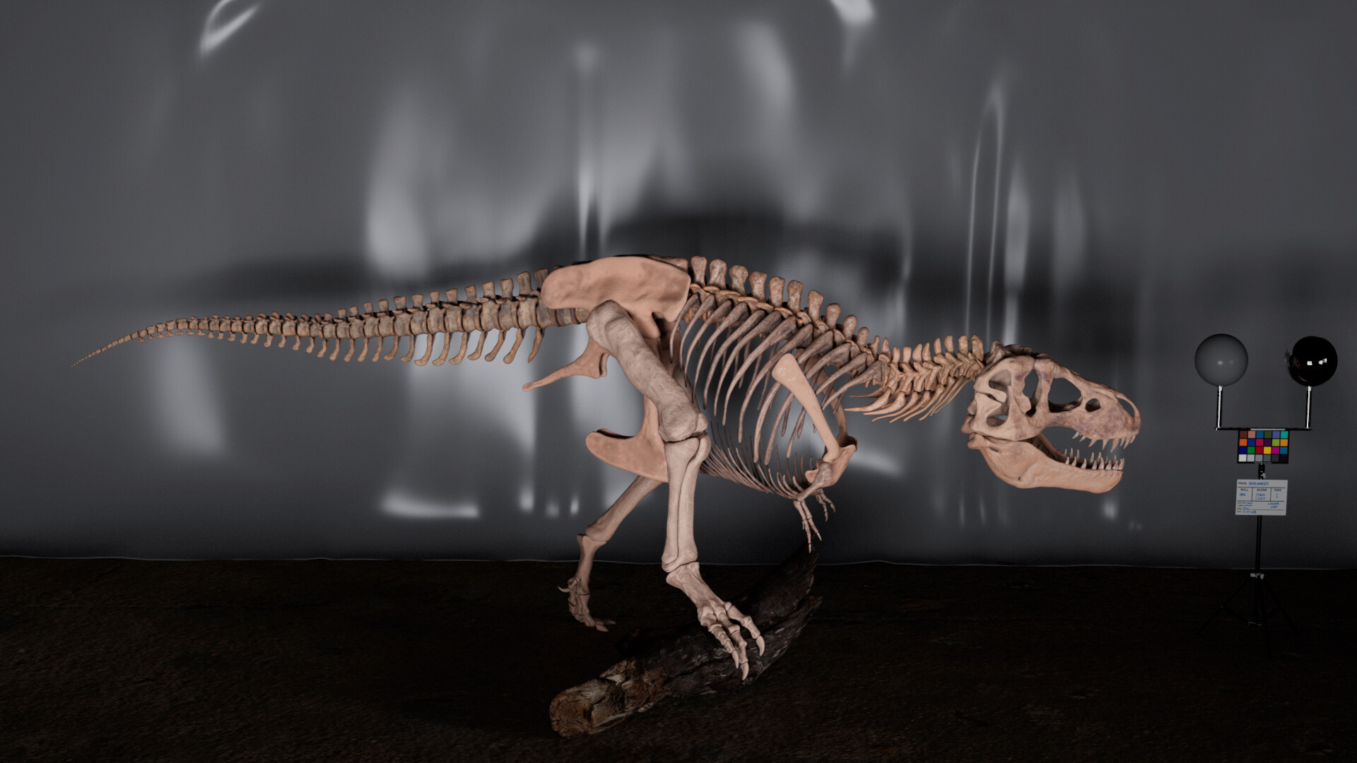 Karel Chytil - Tyrannosaurus rex