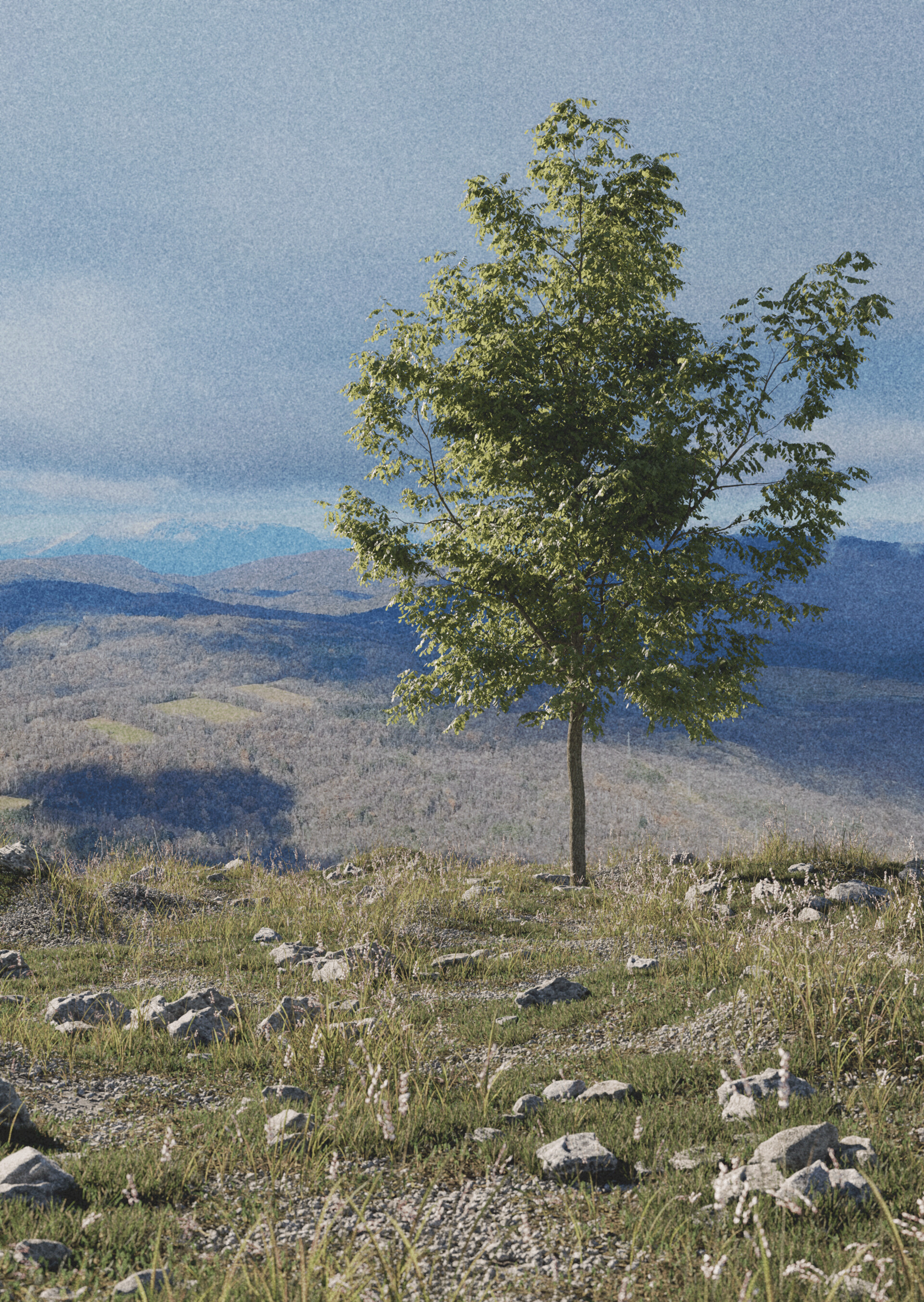 ArtStation - Lonely Tree