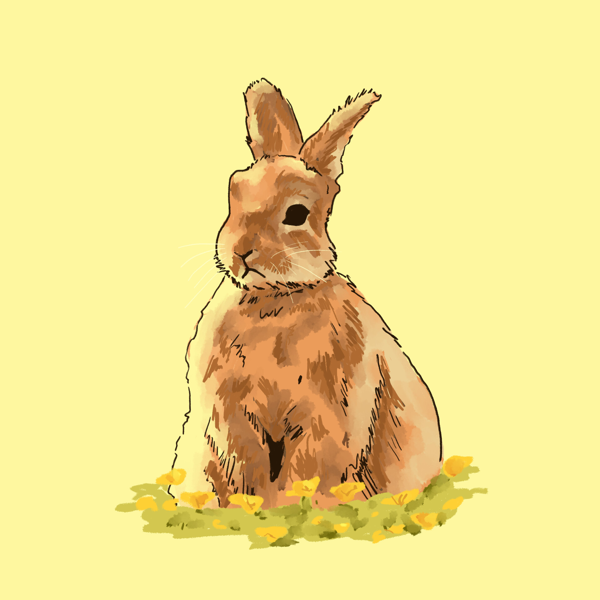 ArtStation - Bunny - redraw