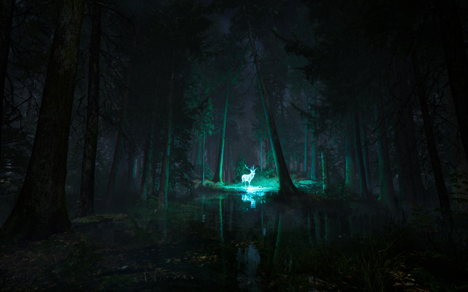 ArtStation - Hope in the Forest