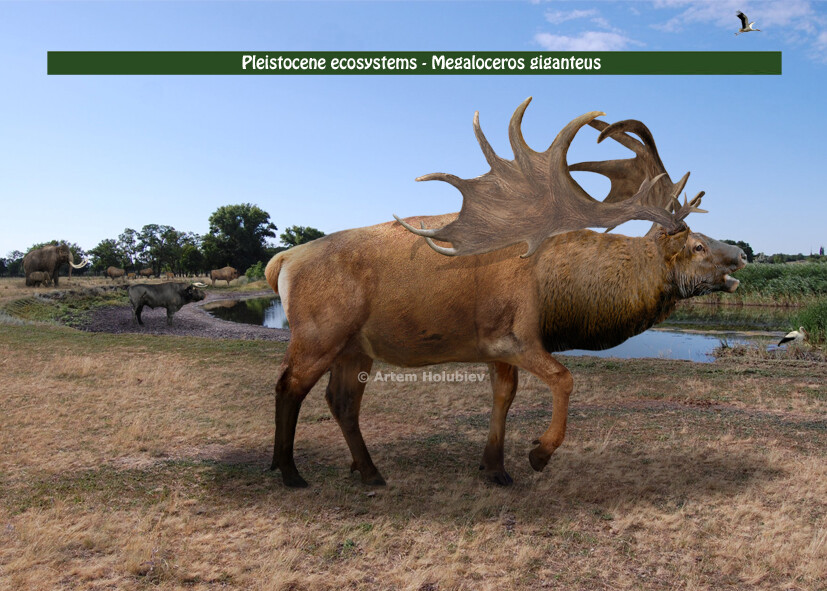 ArtStation - Megaloceros giganteus