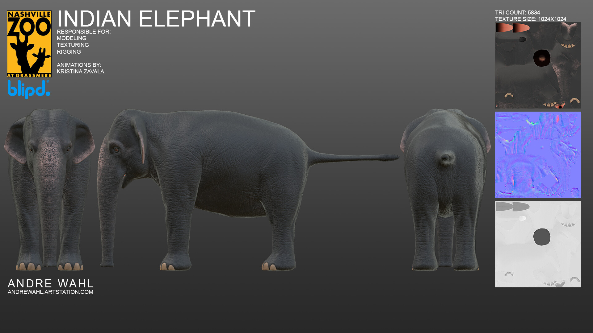 Andre Wahl - Female Indian Elephant Mobile Game Asset