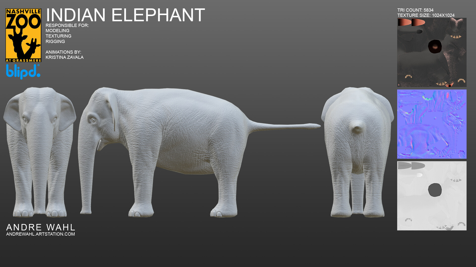 Andre Wahl - Female Indian Elephant Mobile Game Asset