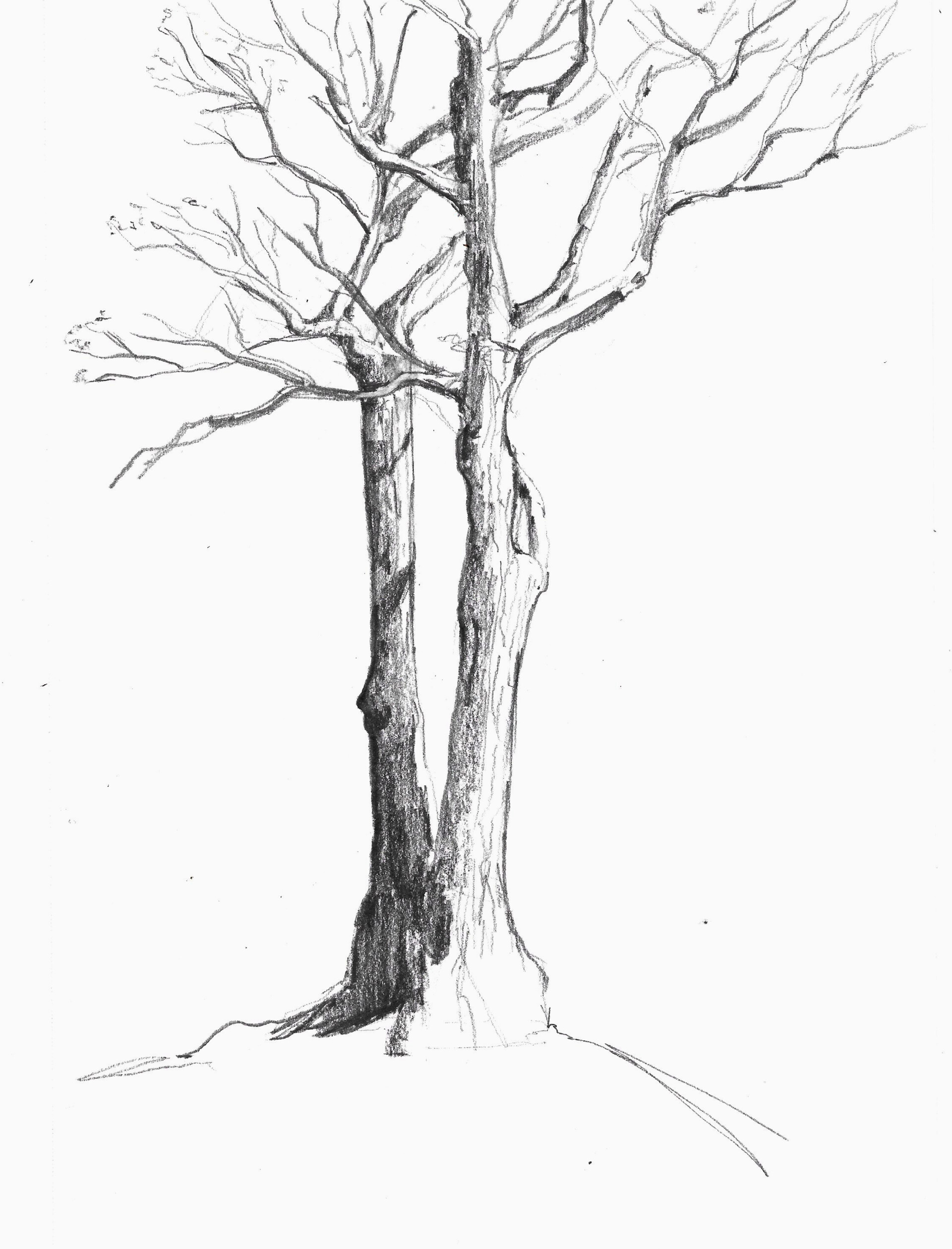 ArtStation - Practice