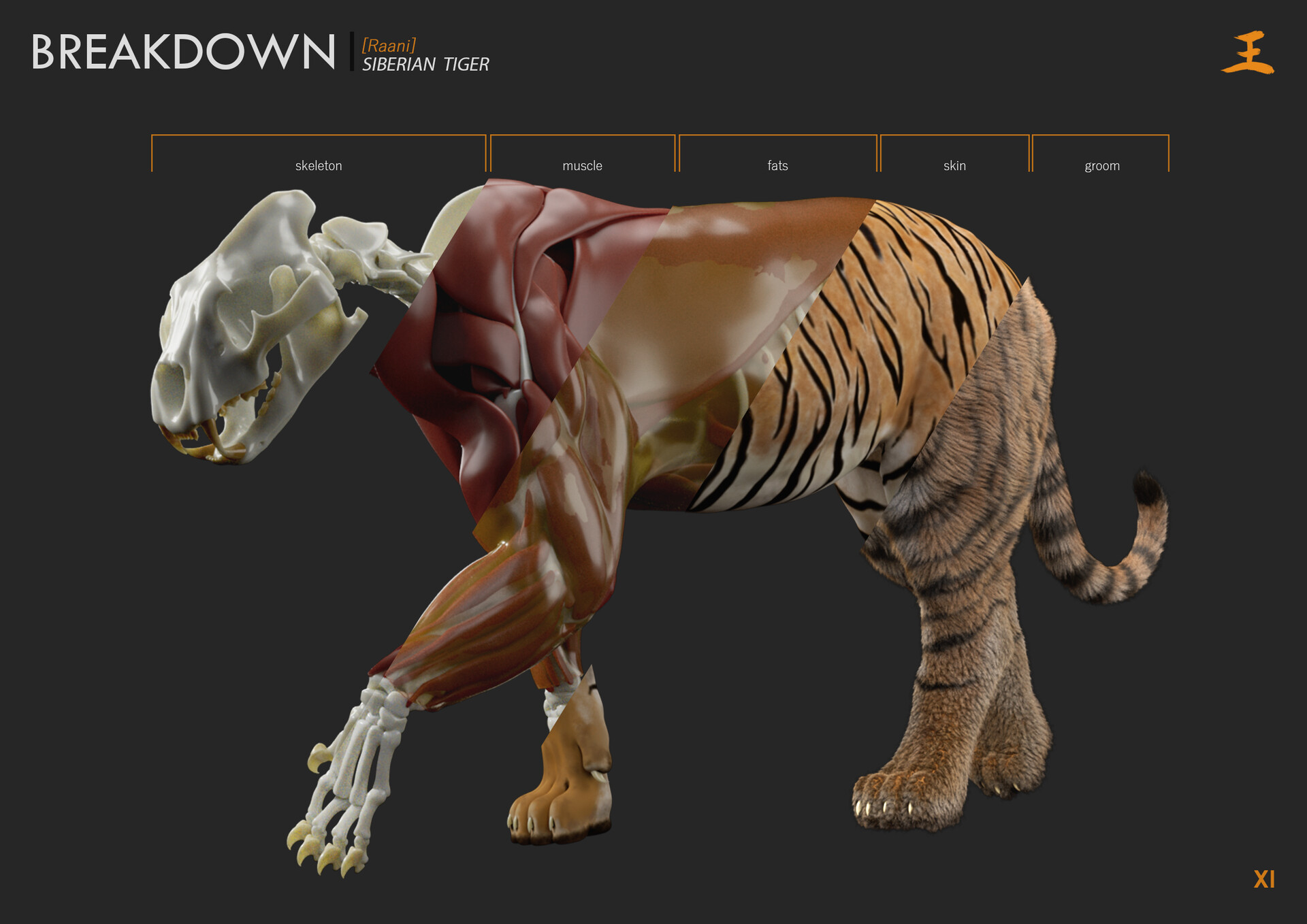 Rishen.Art - Raani The Siberian Tiger.