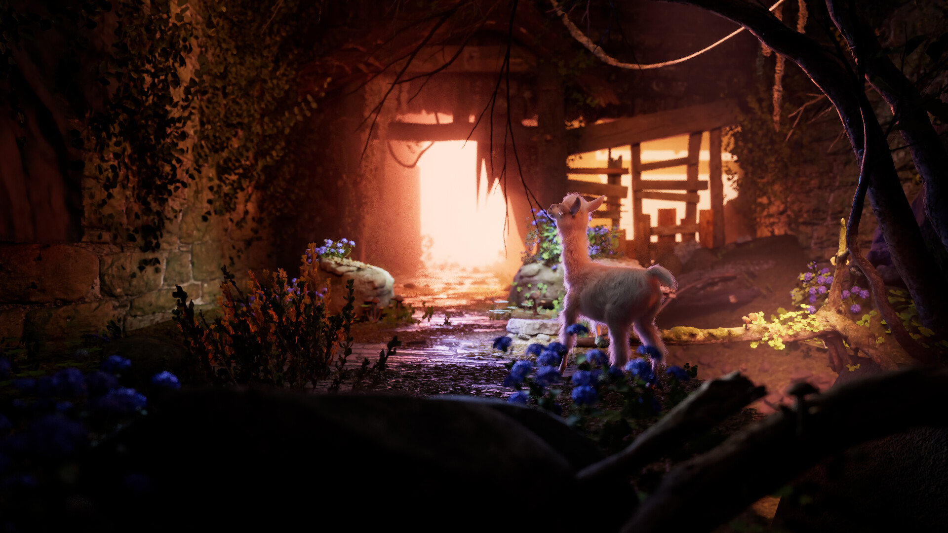 ArtStation - Shading/Rendering - Ori Style