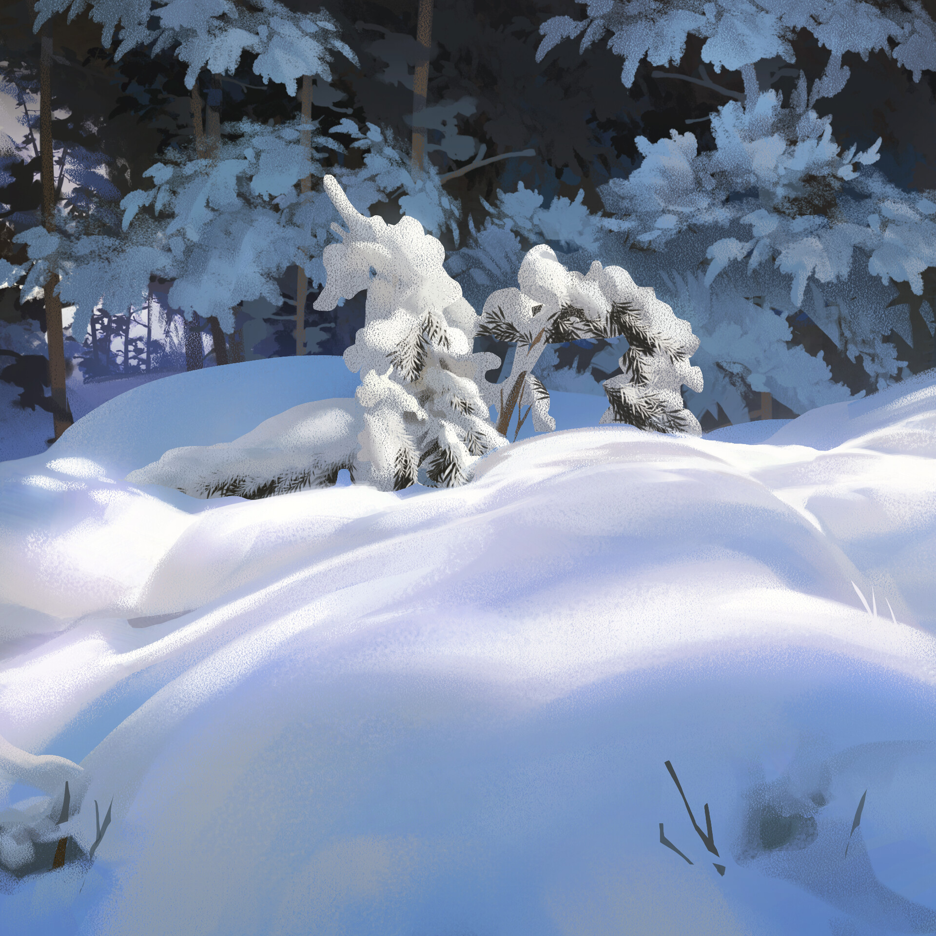 lekso-tiger-2023-01-02-203021260.jpg (1920×1920)