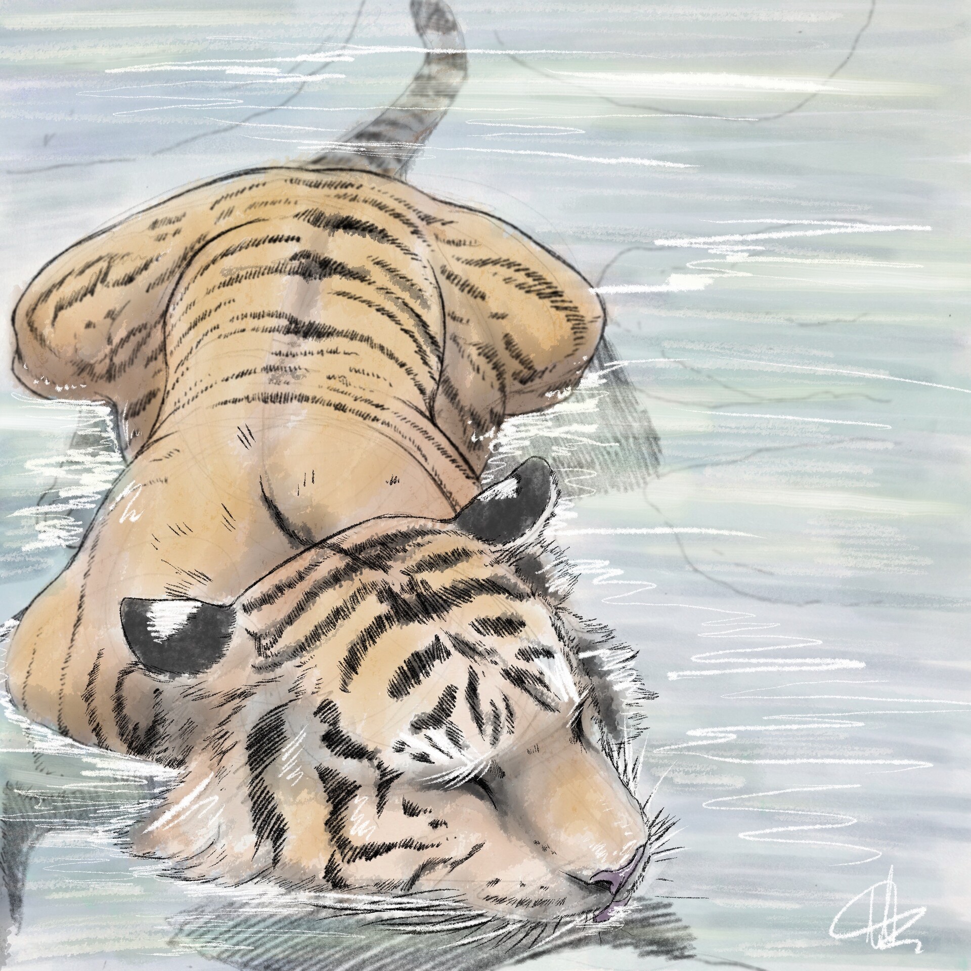 ArtStation - Tiger bath