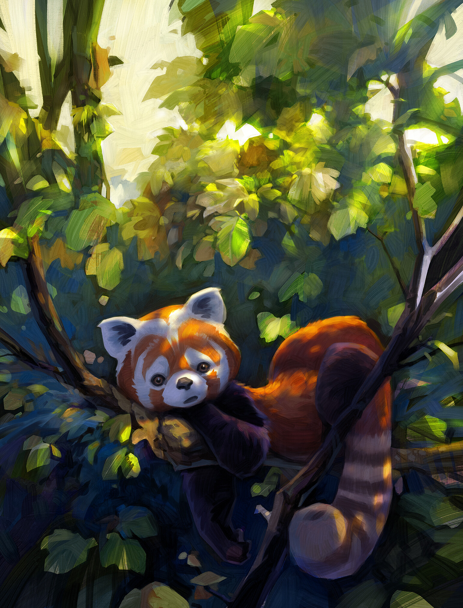 ArtStation - Red panda illustration
