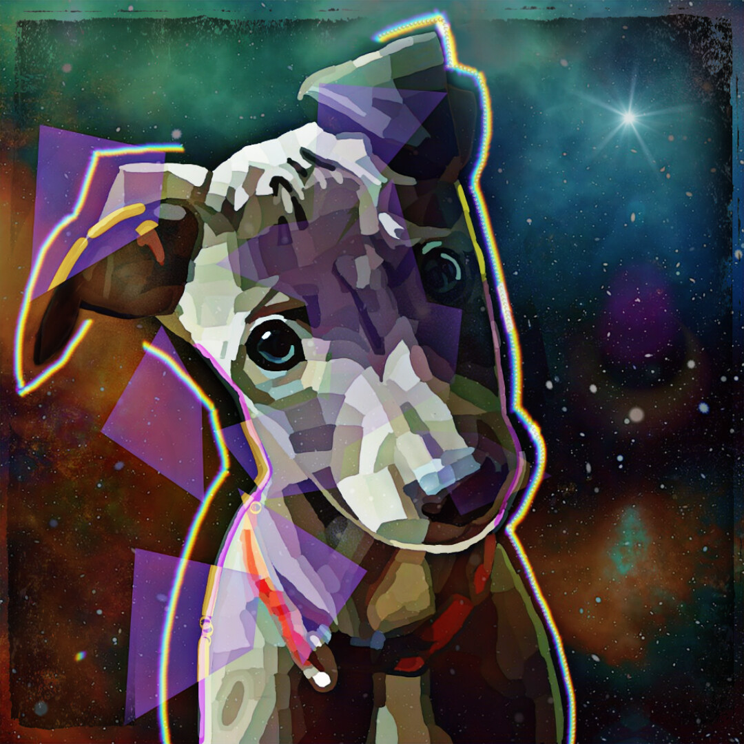Blaze Bolt - Galaxy Puppy