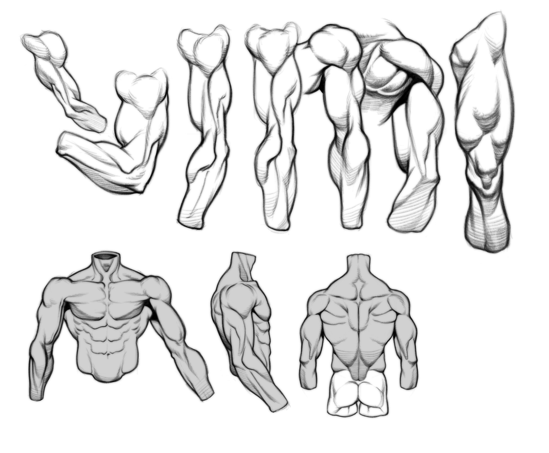 how to draw arms and chest