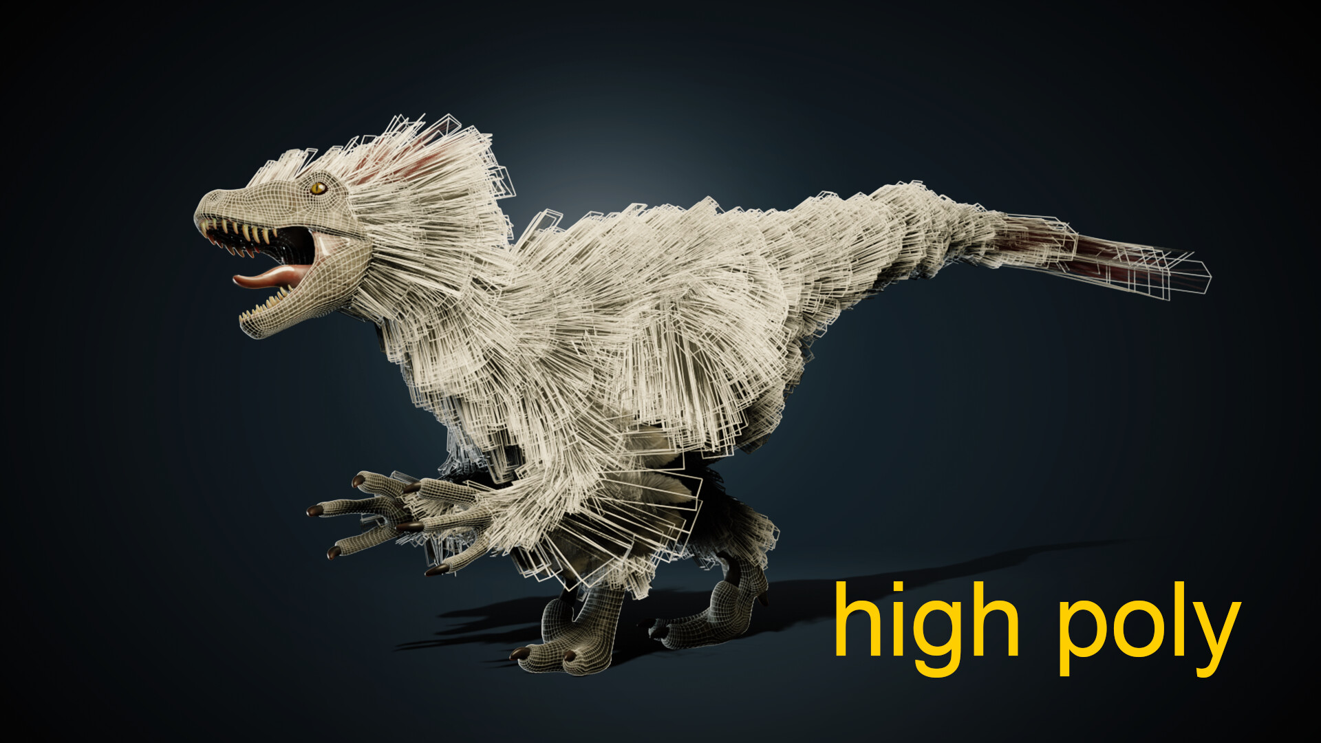 stefano costarelli - Raptor