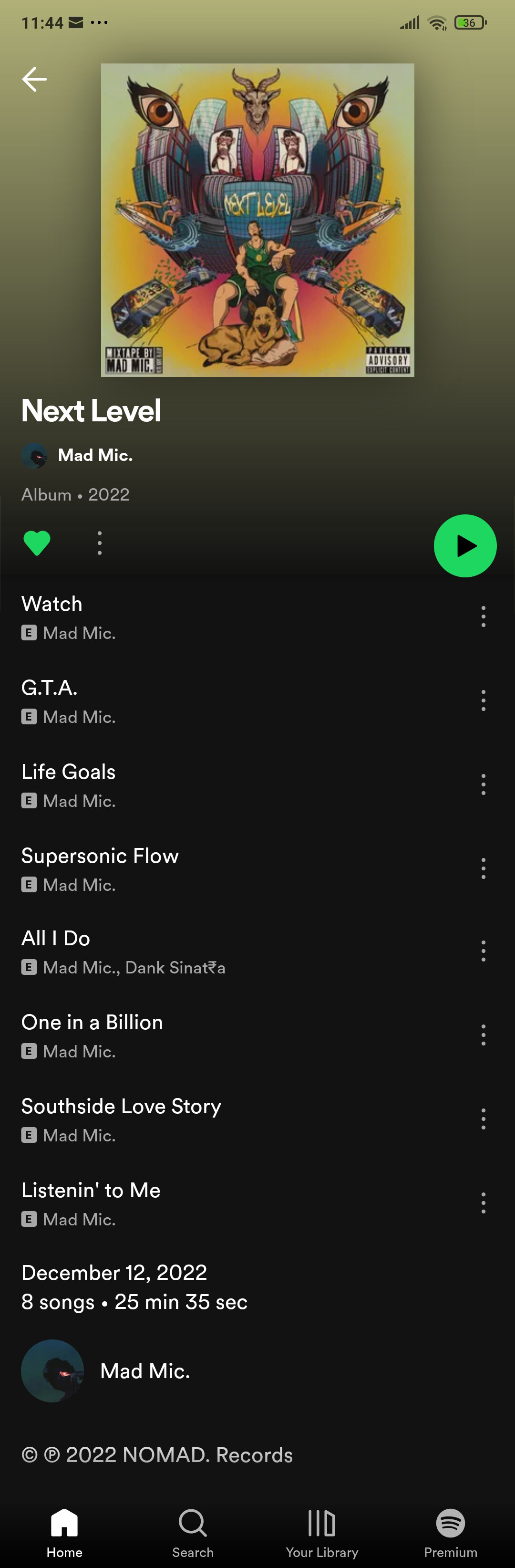 Anshul Gupta - Next Level - Album Art