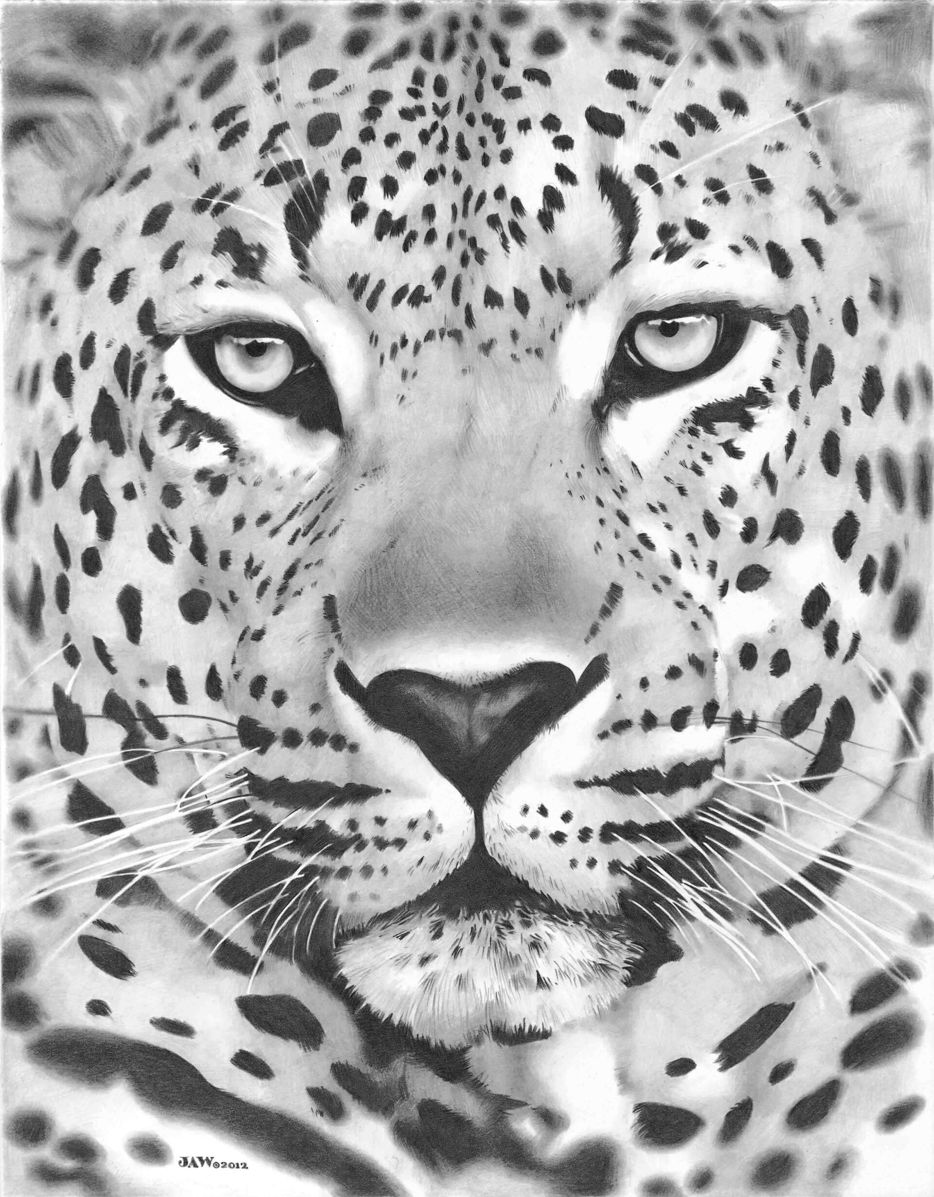 ArtStation - Seeing Spots