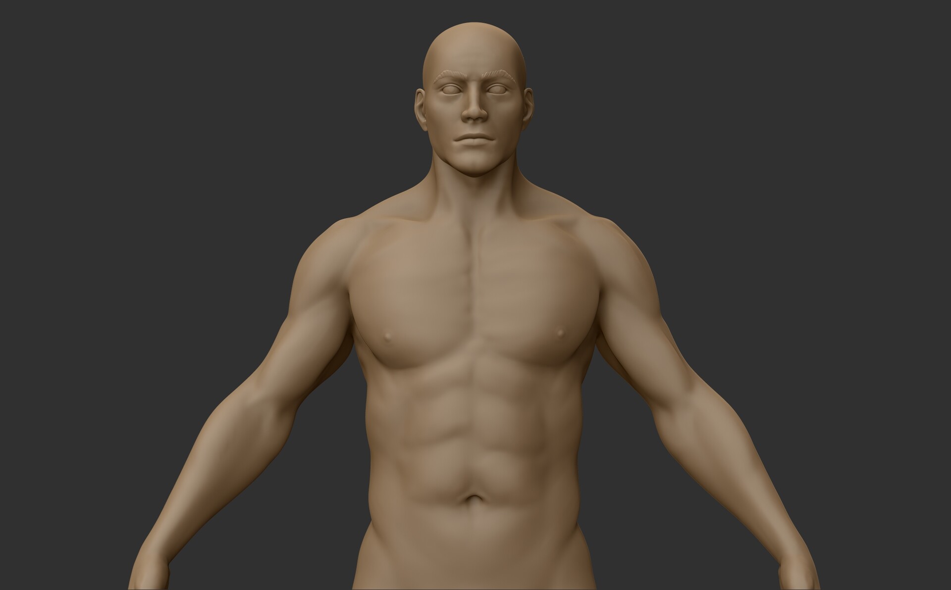 ArtStation - Male Anatomy