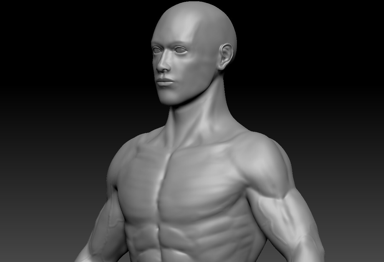 ArtStation - Male Anatomy Study Sculpting