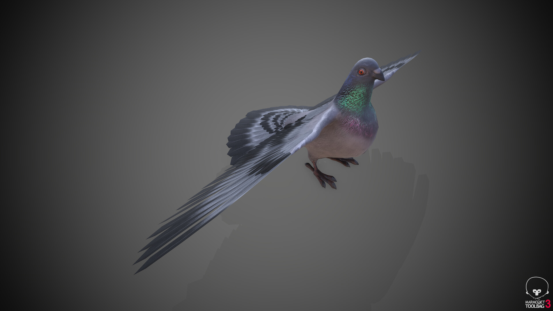 ArtStation - Pigeon Character