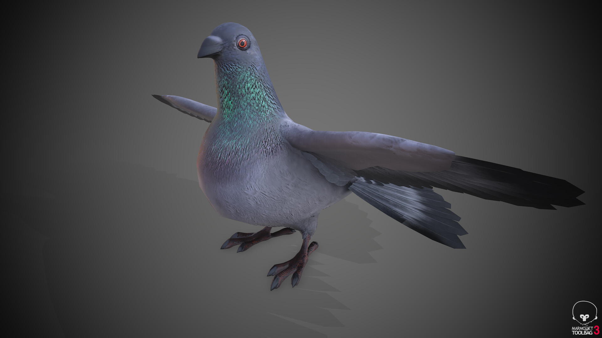 yash bhardwaj - Pigeon Character
